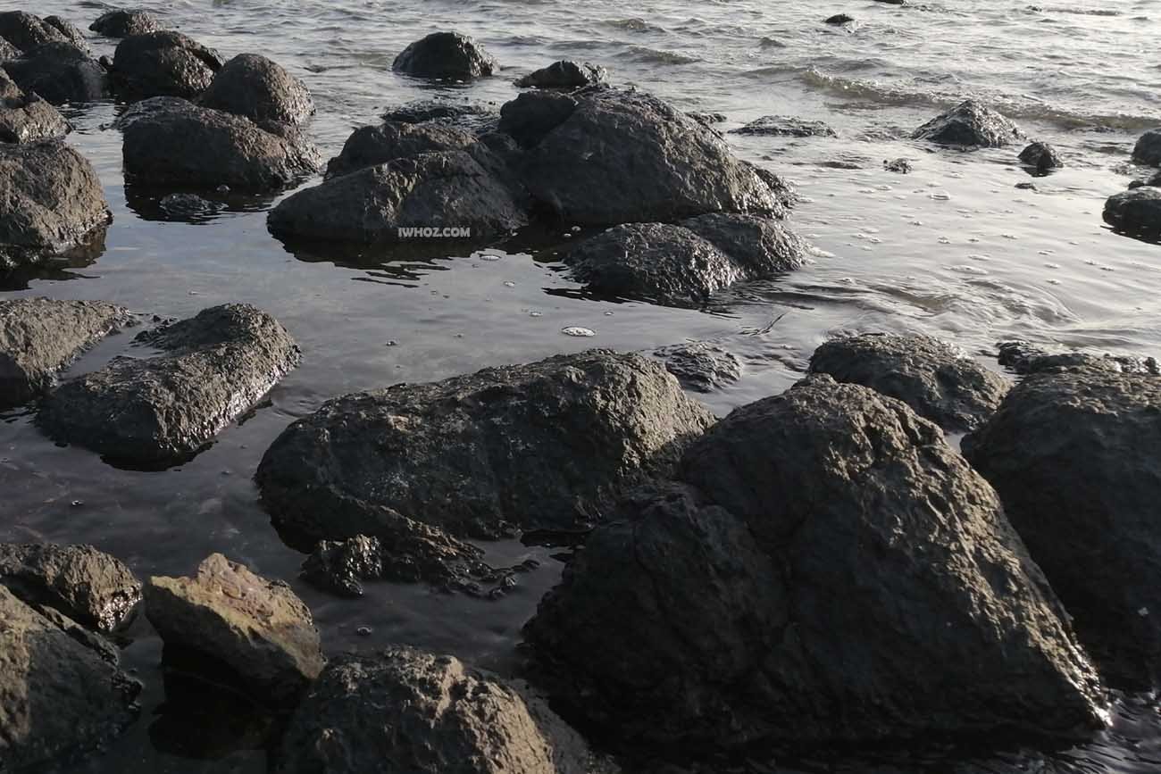 iWHOZ | Pantai Batu Hitam